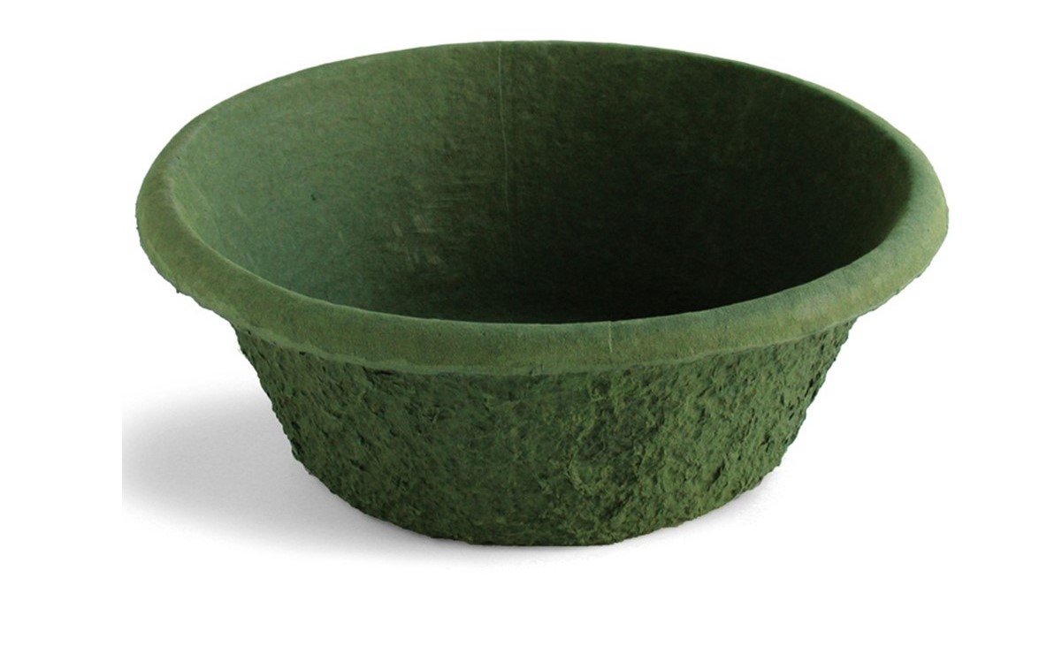 Taylor Wholesale Florist - SYMPATHY