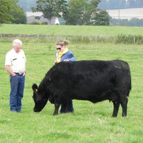 Dunlouise Angus - Dunlouise Angus Semen Catalogue