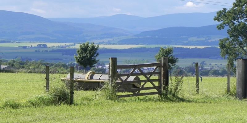 Dunlouise Angus - Dunlouise Angus Semen Catalogue