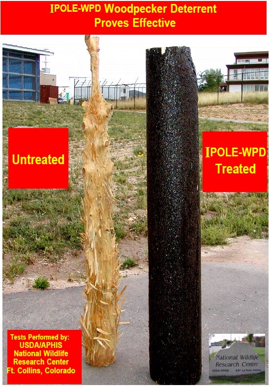 UK Utility Solution Provider Ltd - Asset Protection